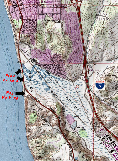 Torrey Pines State Beach Field Trip